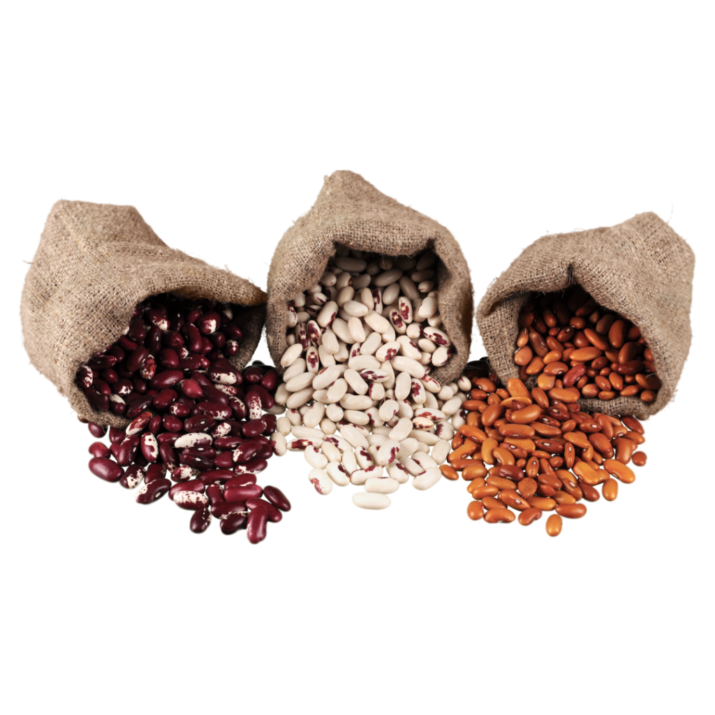 Seed Library - John C. Hart Memorial Library